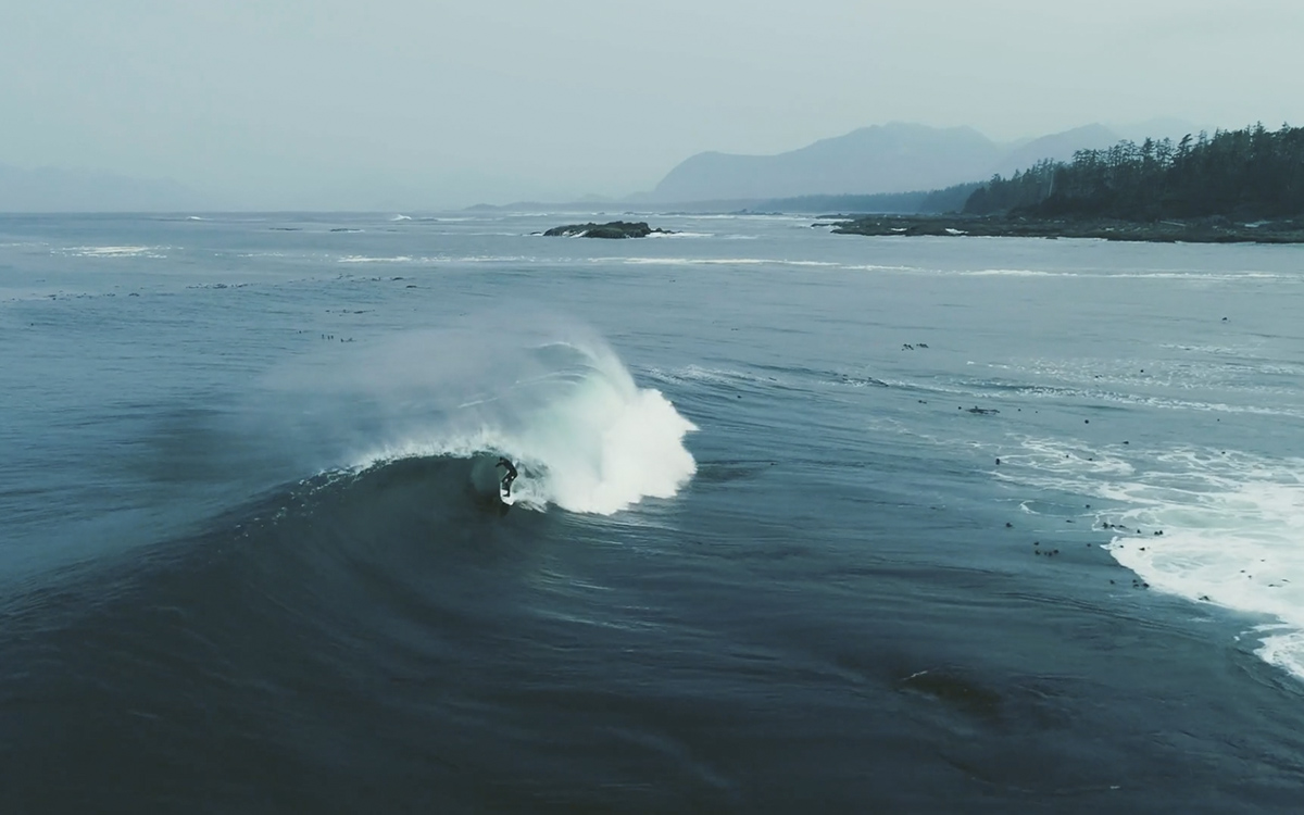 Pete Devries ... Blackout - Carvemag.com