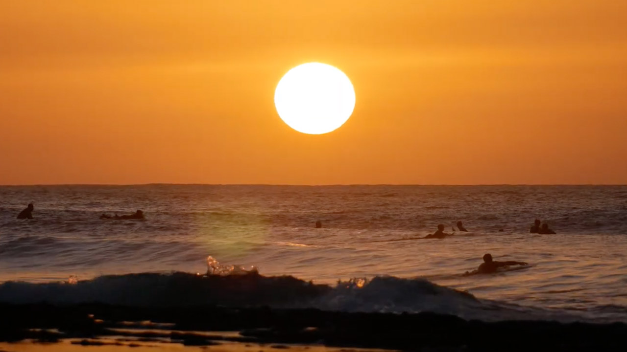 Peony Knight, Tenerife - Carvemag.com