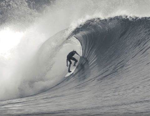 The O'Riginals - Travis Potter - Carvemag.com