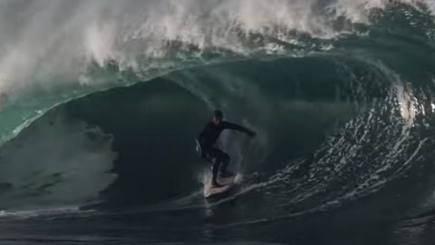 The Life Of Riley’s - Carvemag.com