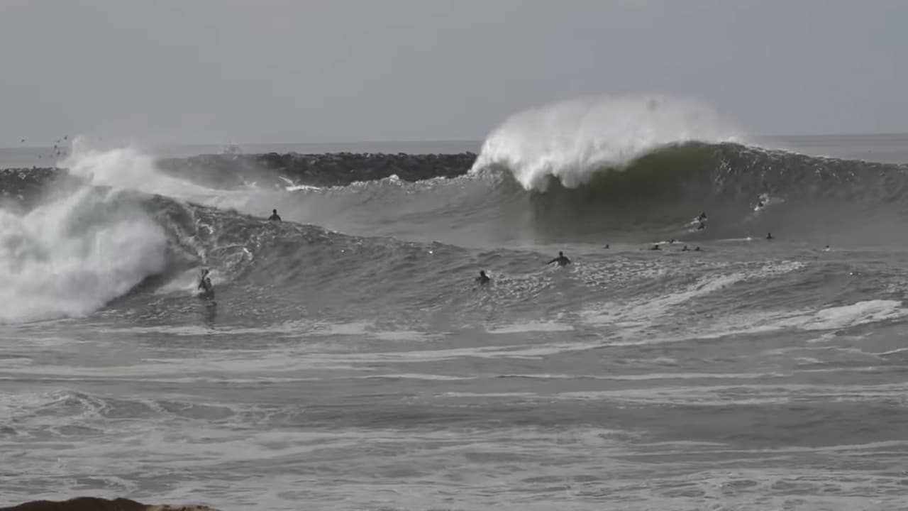 The Wedge: Raw - Carvemag.com