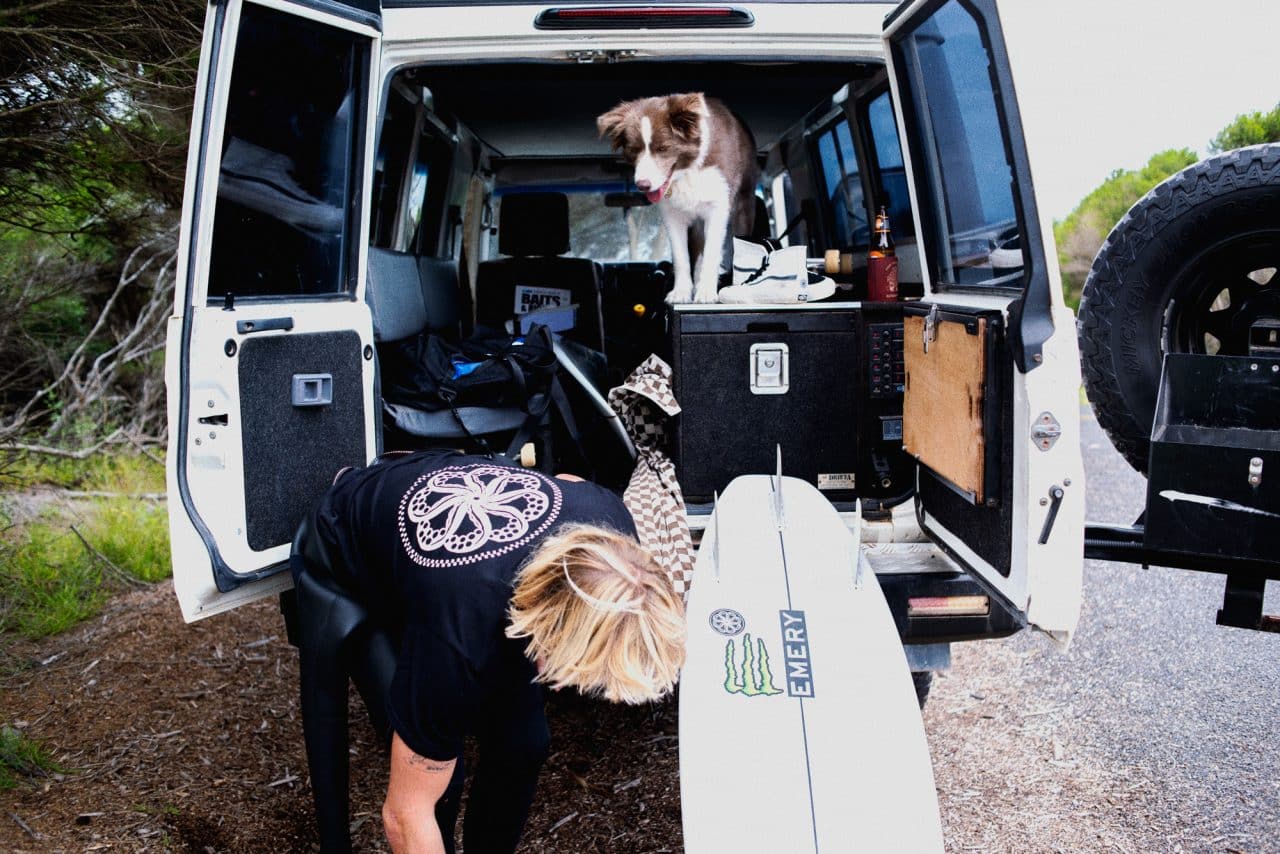 Vans x Octopus Collection - Carvemag.com