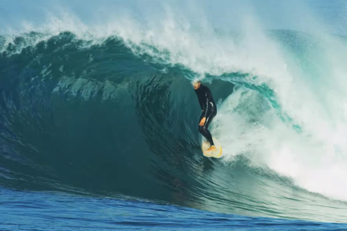 Activated Aquatics - Carvemag.com