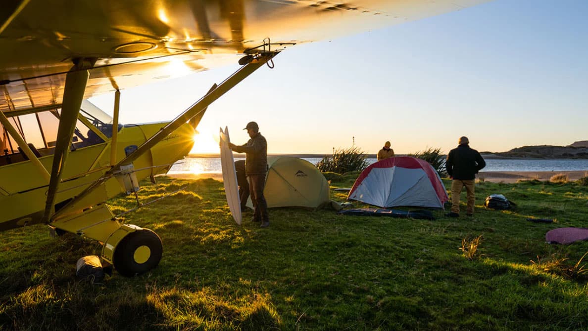 Absent Without Leave, NZ - Carvemag.com