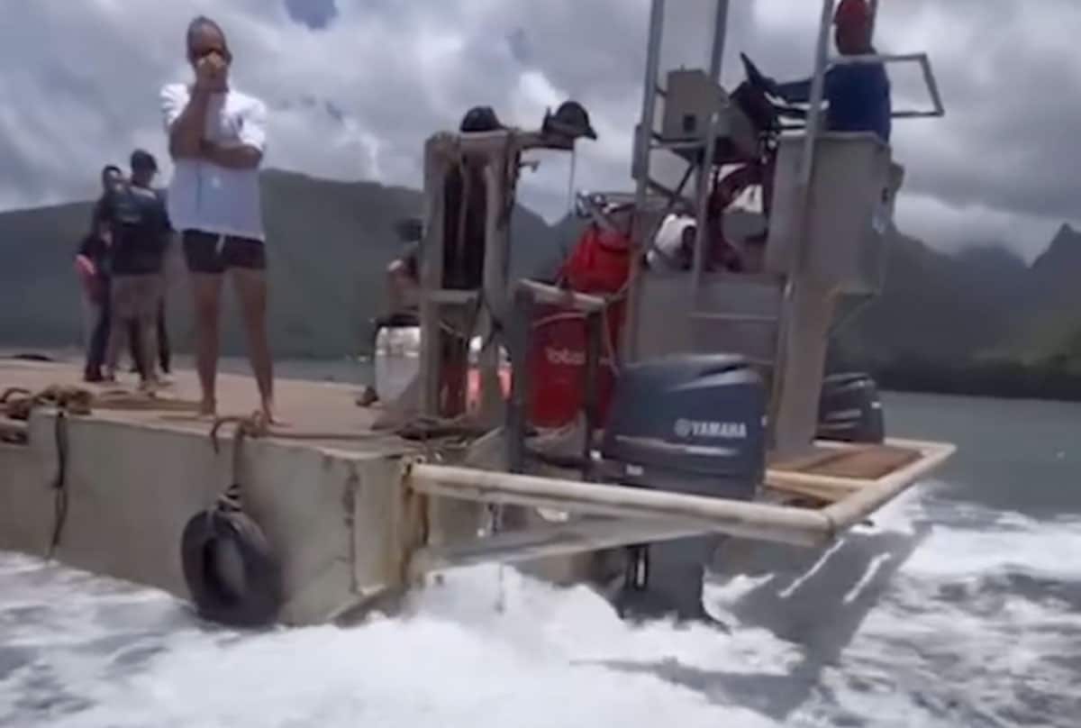 Chopes reef damaged by Olympic barge - Carvemag.com