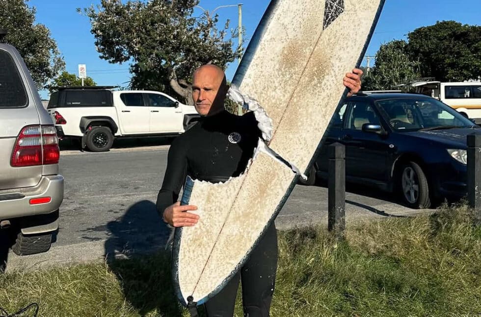 Shark Bites Surfboard - Surfer Unharmed - Carvemag.com