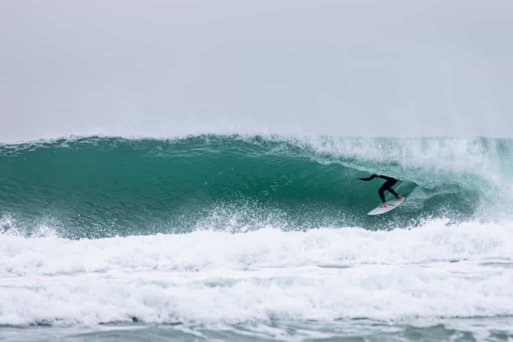 Channel Islands Regional Report - Carvemag.com