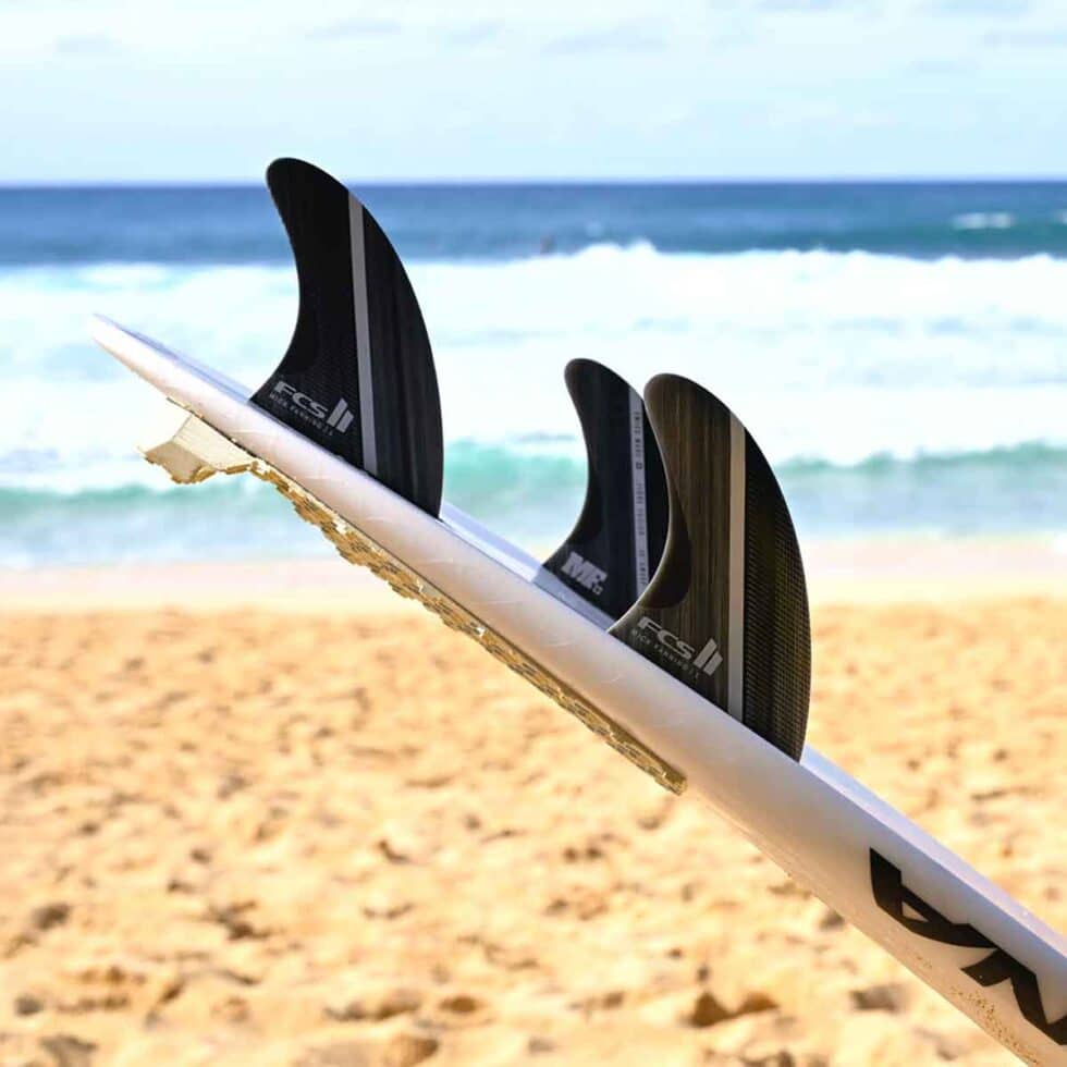 Fins Make the Ride - Carvemag.com